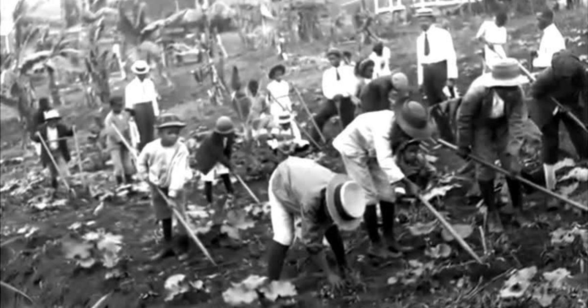 Etnia Negra: un orgullo empañado por la discriminación racial ...