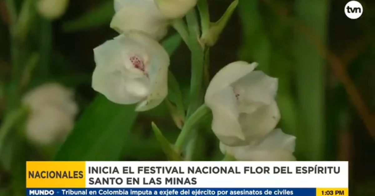 Festivales: Este fin de semana continúa el Festival Nacional de la Flor ...