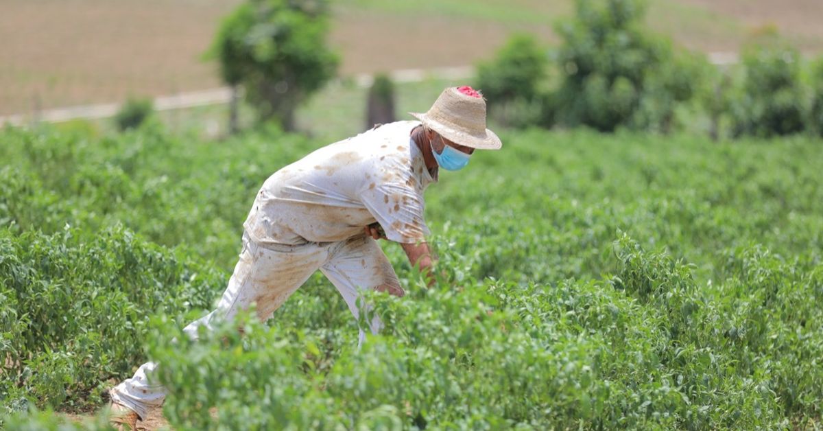 MIDA crea juzgado ejecutar para dar seguimiento a cancelación de ...