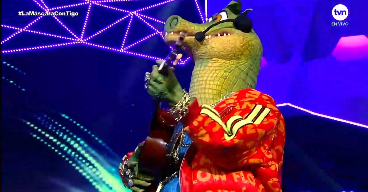 Vídeo | Caimán cantó 'Cásate conmigo' - Caimán | Tvn Panamá