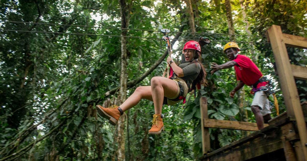 Aventura en las alturas: Canopy y vistas únicas de las fincas cafeteras ...