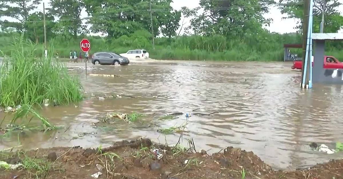 Inundaciones y caída de árboles por fuertes lluvias de este domingo ...