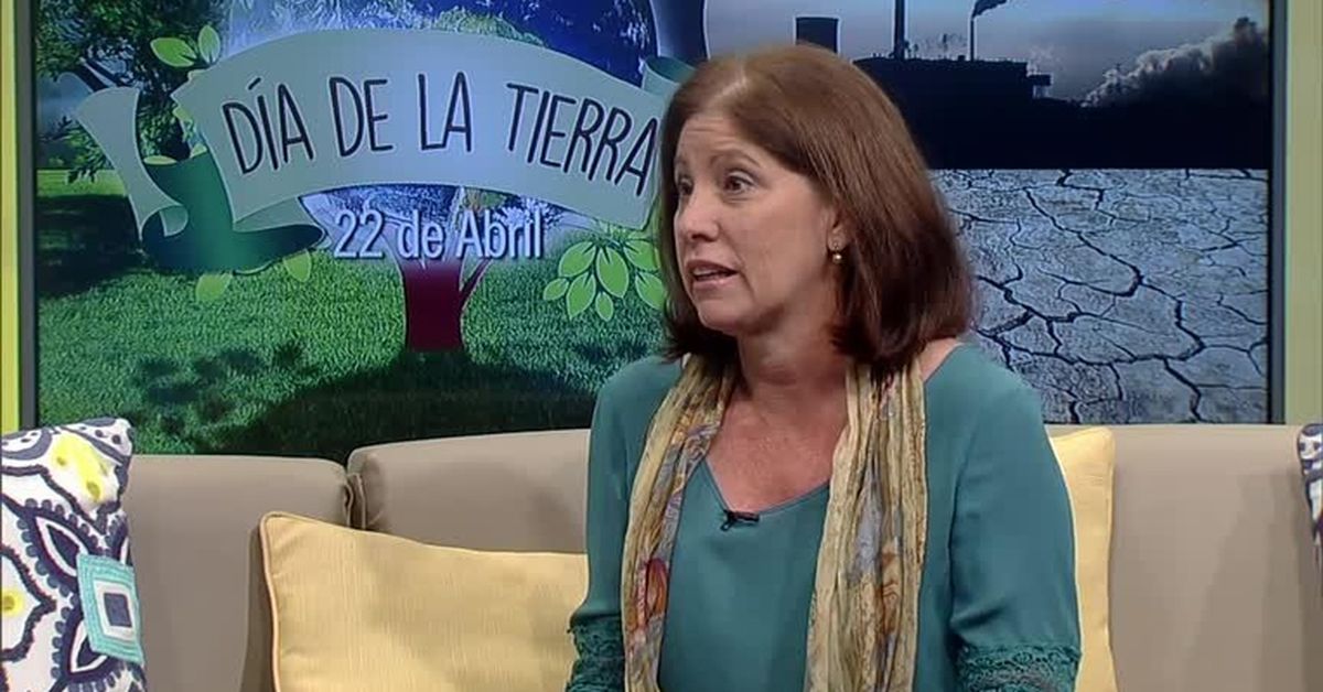Alida Spadafora: Panamá necesita más educación ambiental - Nacionales ...