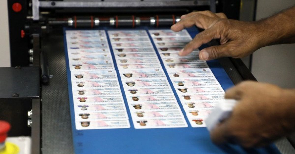 Cédulas de identidad: Tribunal Electoral emitió 308,791 cédulas de ...