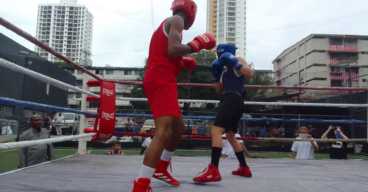 Alianza: Boxeo: Se arma un plan en la capital para el Semillero de ...