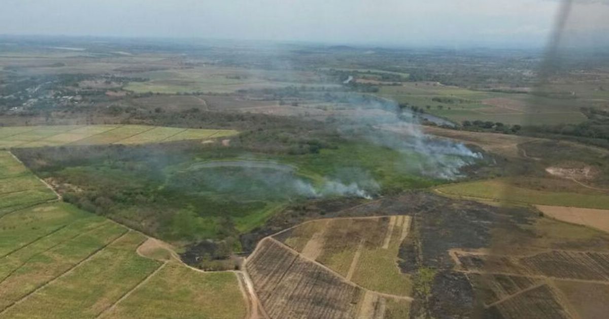 Anam tomará acciones para evitar incendios forestales - Nacionales ...