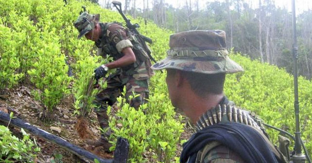 Capturan en Colombia a 41 integrantes del narco clan Úsuga - Mundo ...