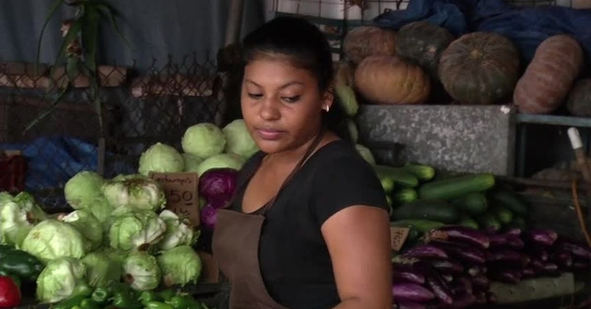 El Nance se convierte en la fruta exótica de la temporada - Nacionales ...