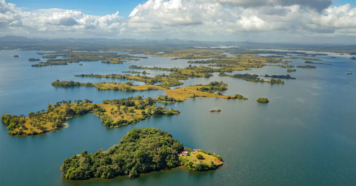 Canal de Panamá: Lago Gatún próximo a alcanzar su capacidad máxima de ...