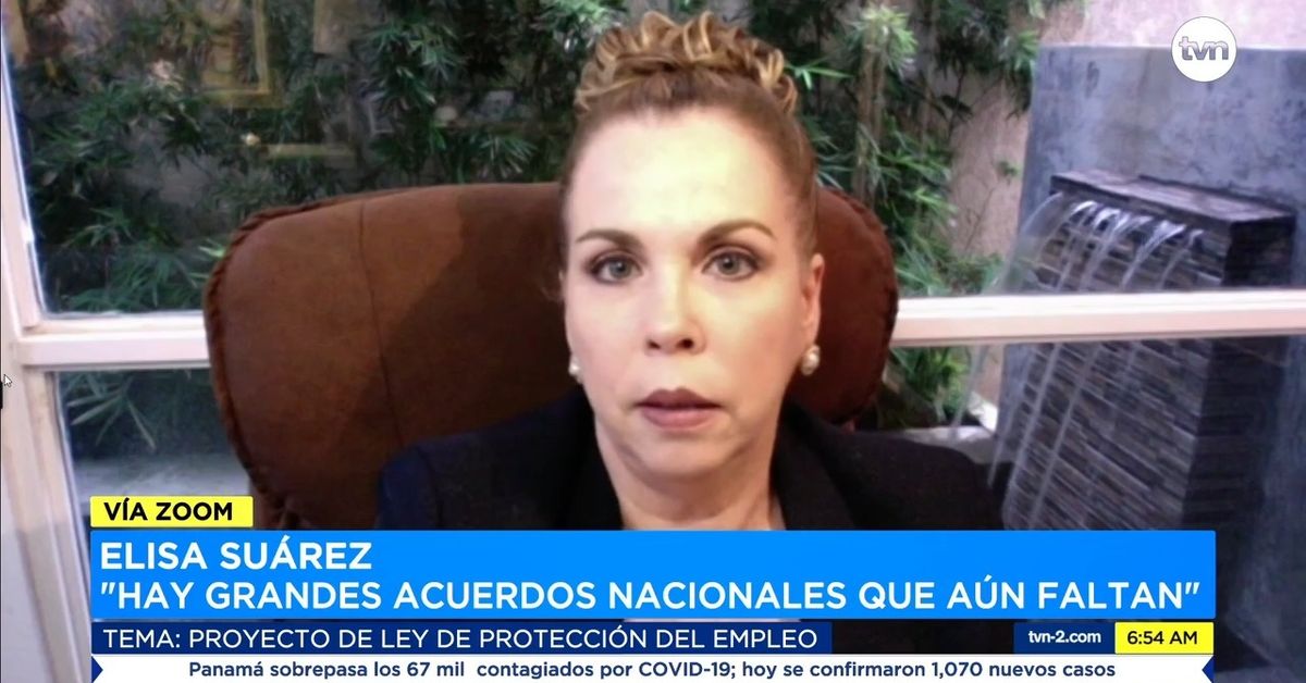 'Si la empresa privada no abre, no hay trabajo': Elisa Suárez, presidenta de Apede - Economía ...